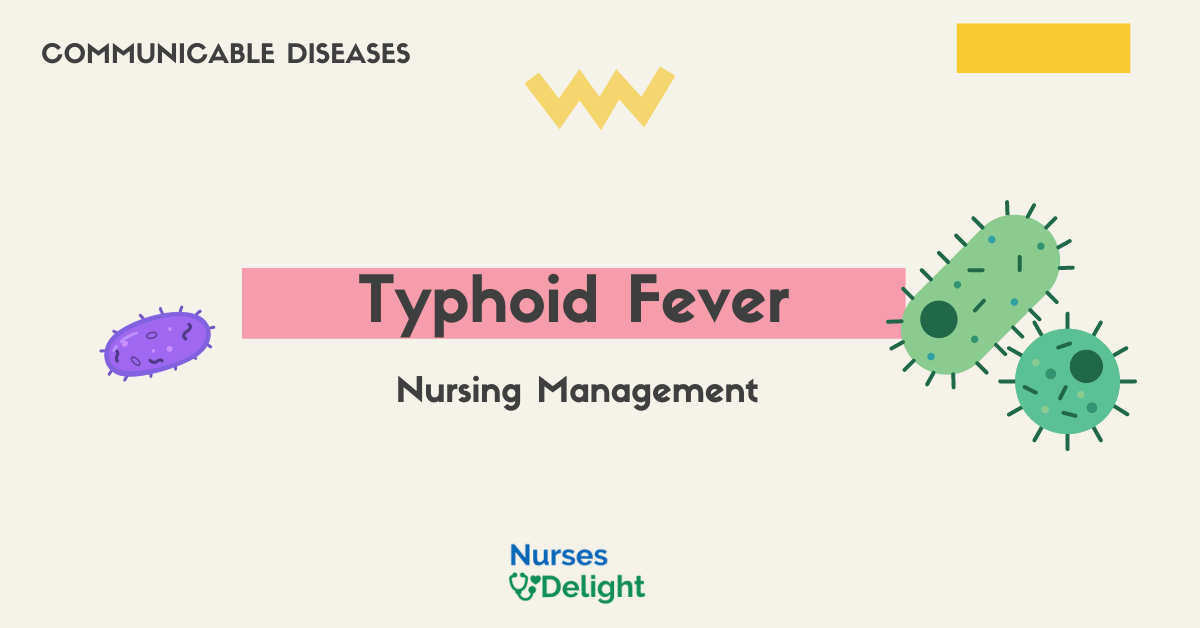 Typhoid Fever - Nurses Delight | Comprehensive Nursing Education Resources