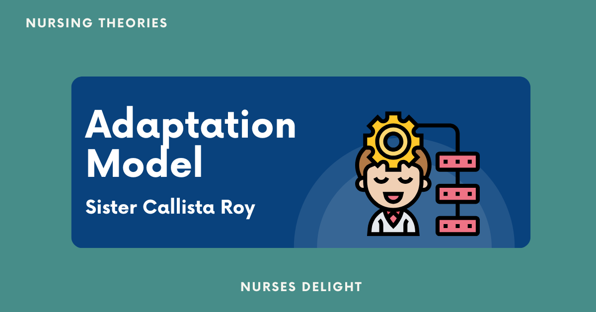 Roy Nursing Theory Model The Effects Of Nursing Of Roy Adaptation
